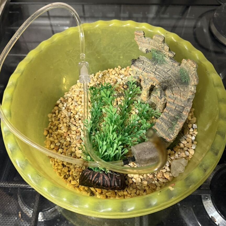 Аквариум 10 литров с лампой