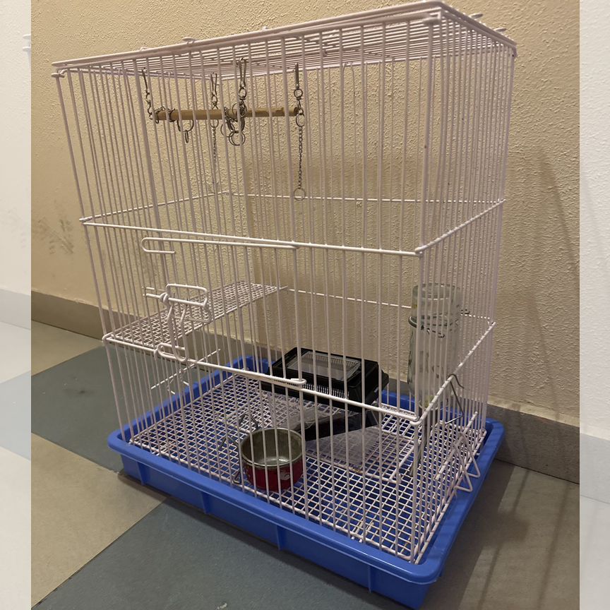 Клетка для грызунов большая