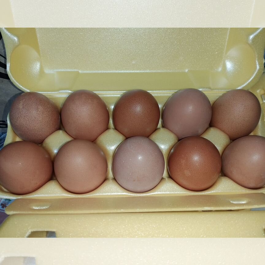 Домашние отборные куриные яйца