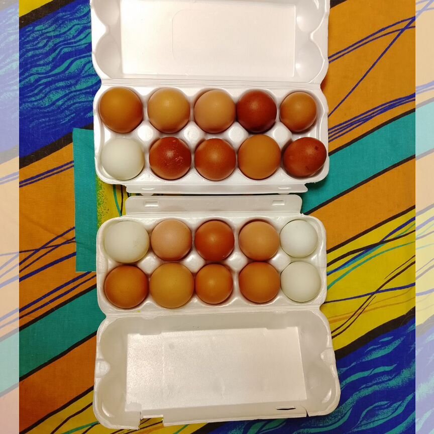 Яйца на инкубацию