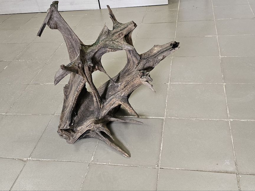 Коряга в аквариум