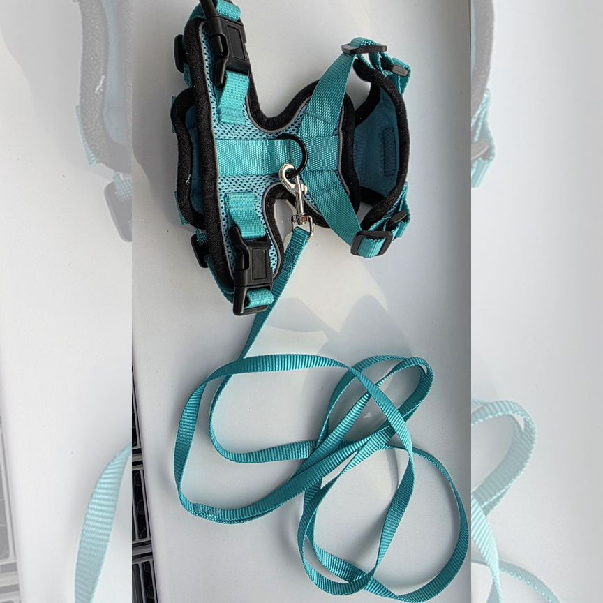 Шлейка размер XS