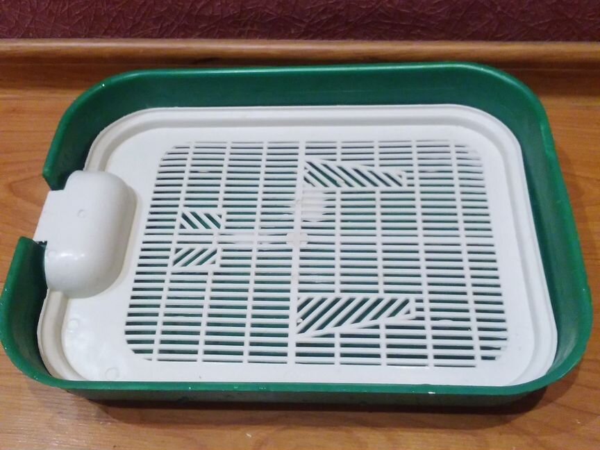Лоток для котят