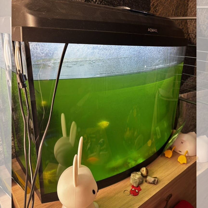 Аквариум