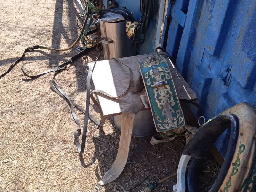 Упряжь для лошади