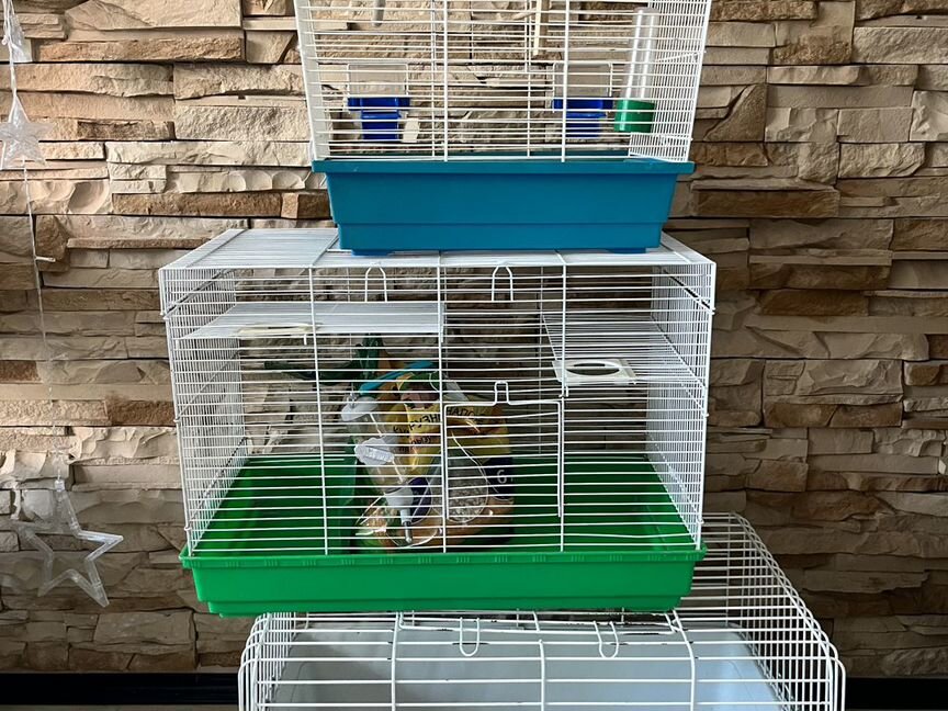 Клетки для кролика, птиц, крыс