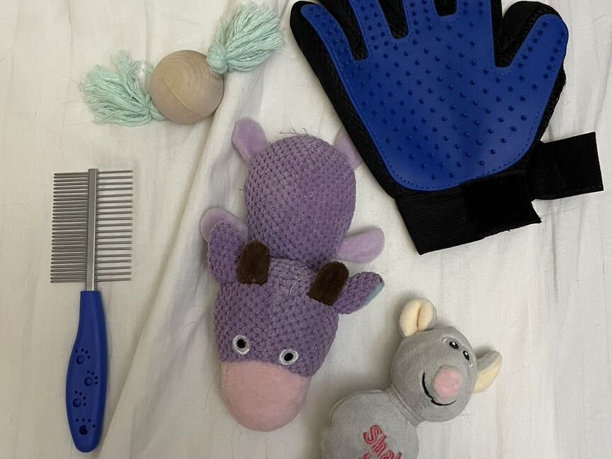 Кошачьи игрушки + чесалки для шерсти