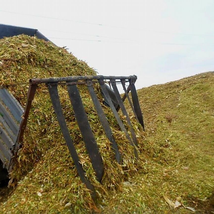 Силос кукурузный.Доставка