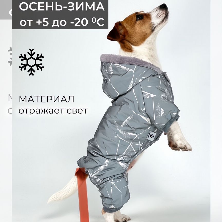 Одежда для собак