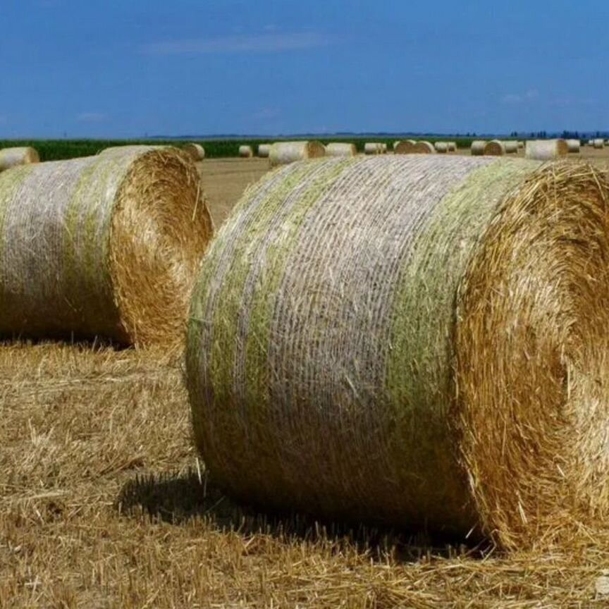 Солома в рулонах