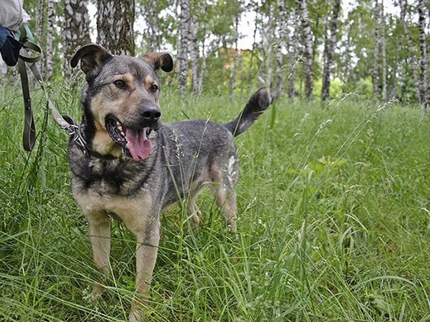 Сэму очень нужен дом