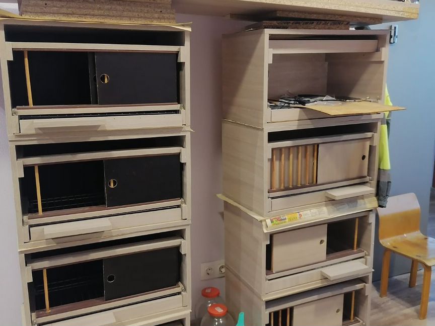 Боксы гнёзда для голубей