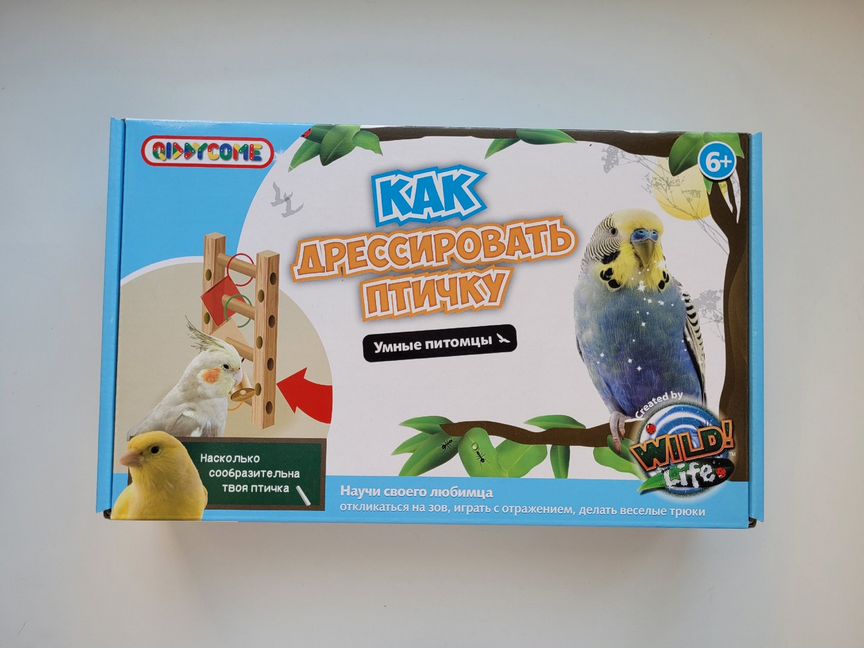 Набор как дрессировать птичку