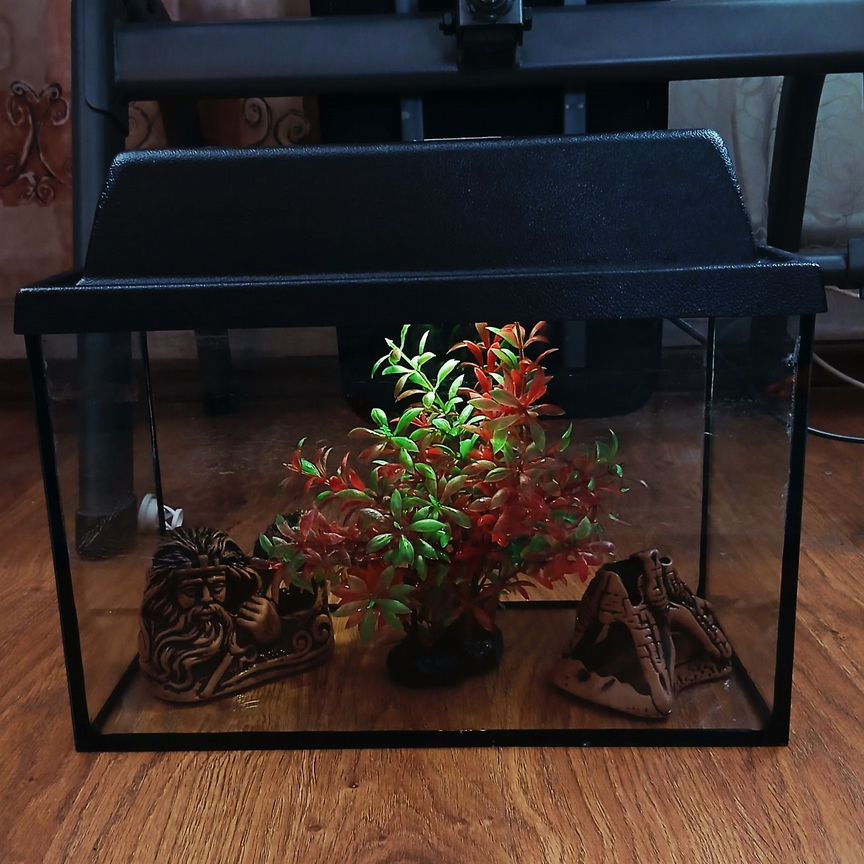 Аквариум и рыба