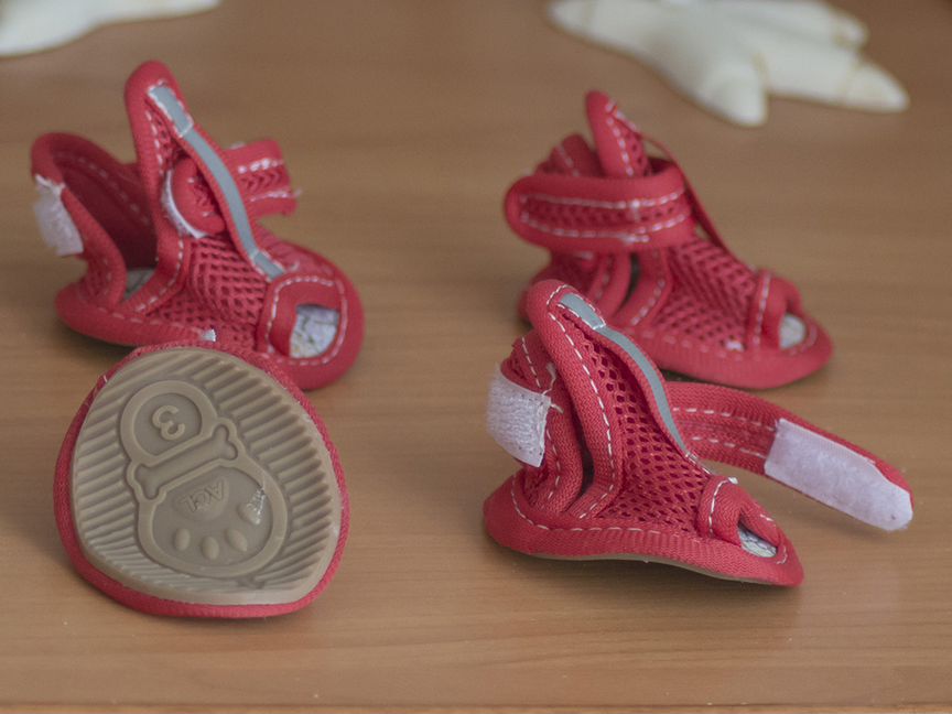 Сандали для собаки