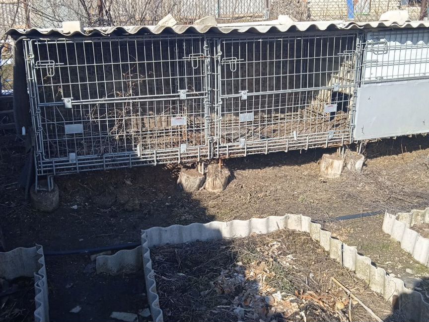 Клетки для нутрий