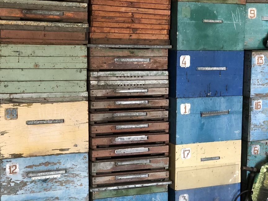 Дадановские корпуса