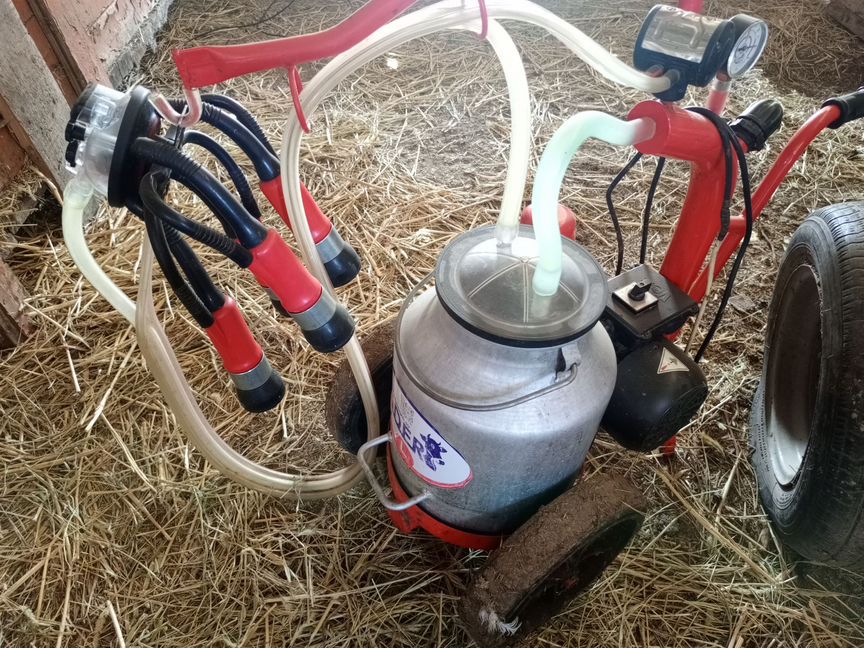 Доильный аппарат для коров бу