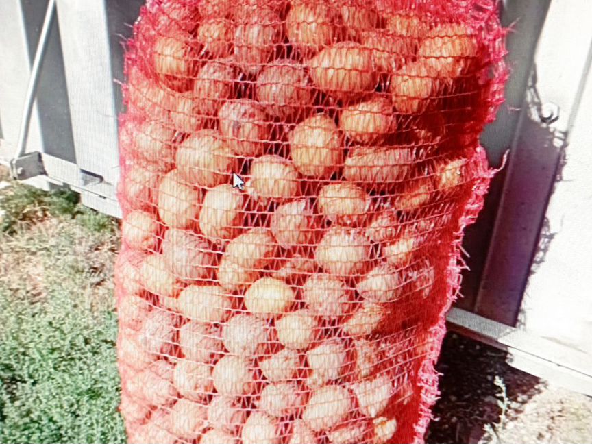 Продам мелкий картофель