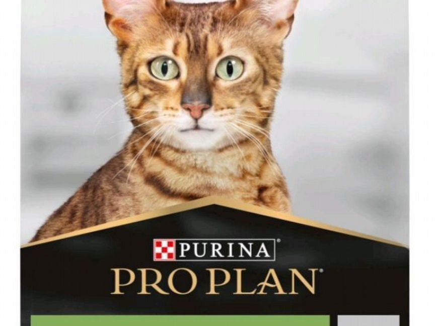 Корм для кошек