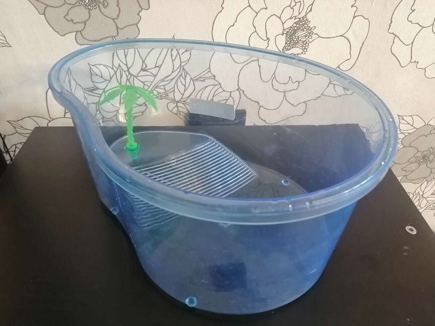 Бассейн для черепах новый