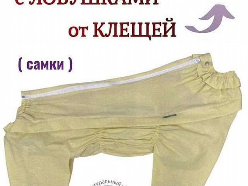 Одежда для собак