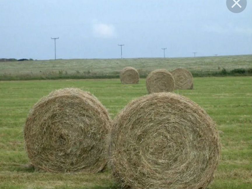 Сено в тюках