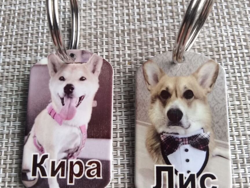 Адресники для собак