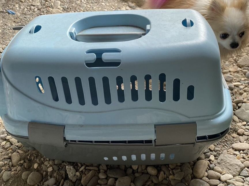 Переноска пластиковая для животных