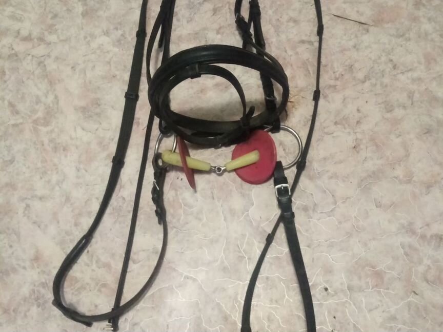 Уздечка для лошади