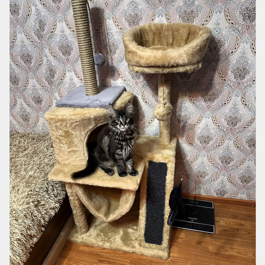 Когтеточка домик для кошки