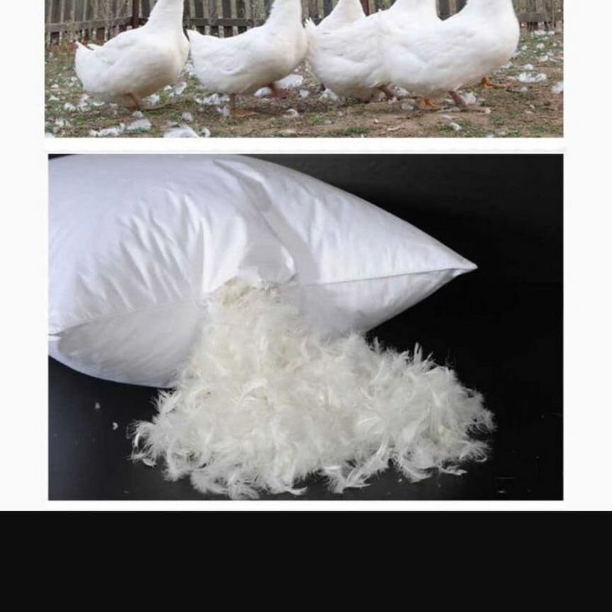 Пух гусиный