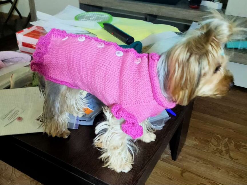 Кофта для собачки