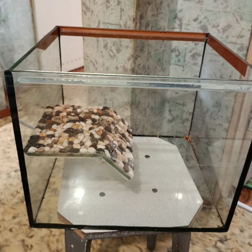 Аквариум для красноухой черепахи