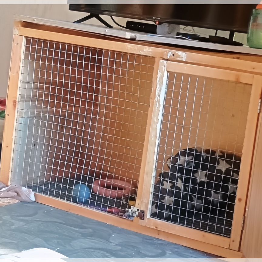 Клетка для собаки бу