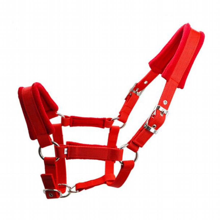 Недоуздок для лошади