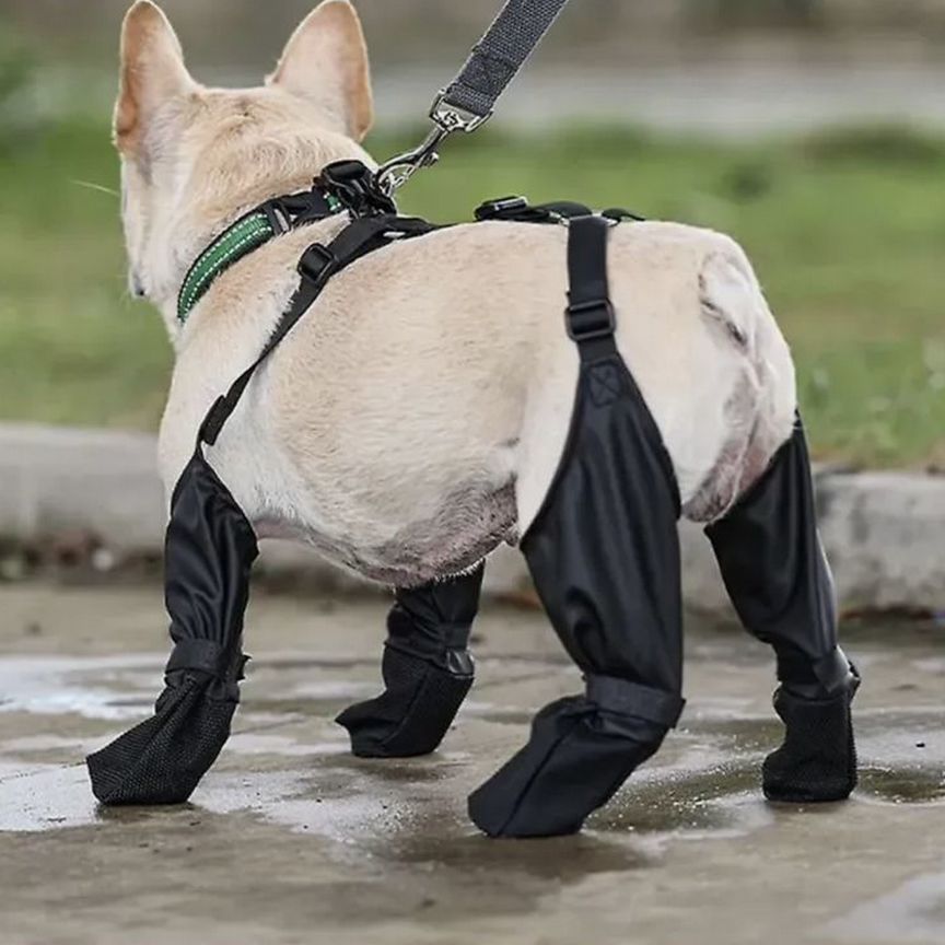 Для собаки непромокаемые носки