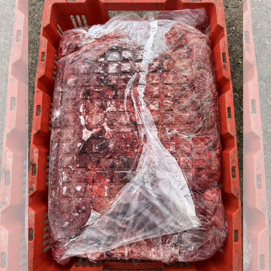 Лёгкое говяжье свежее