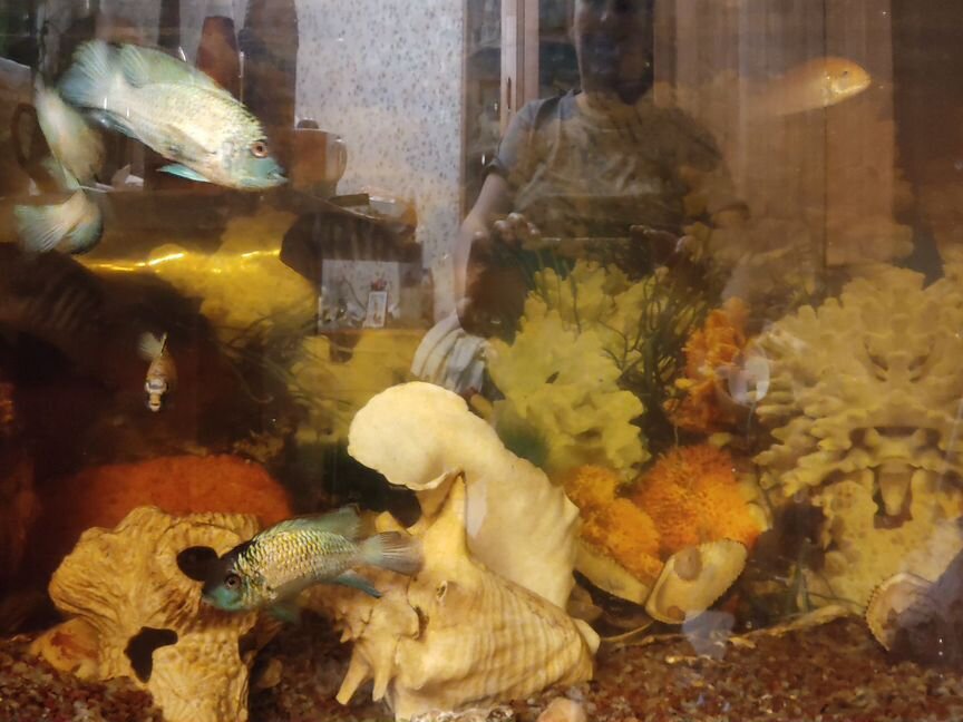 Аквариум 250-300 литров, польский