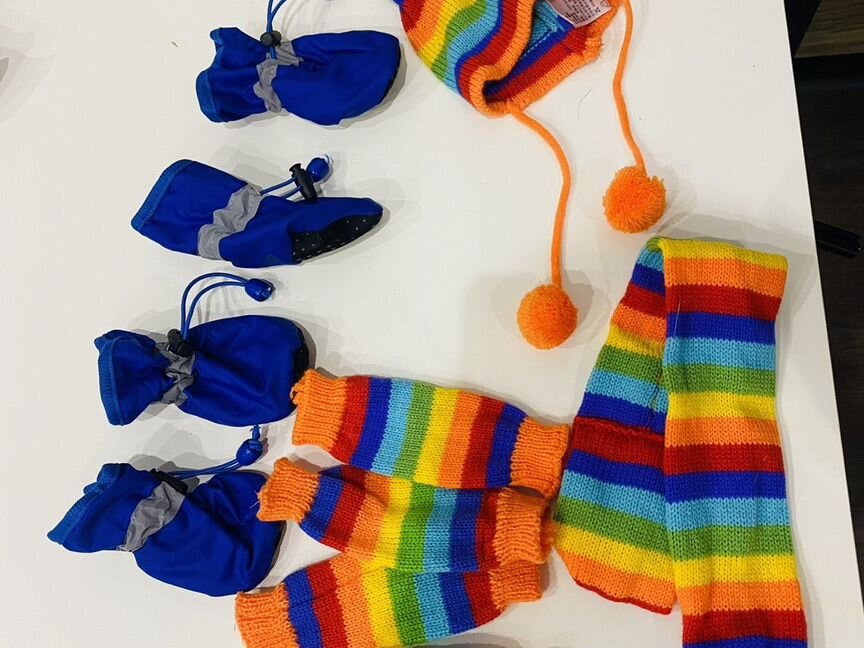 Одежда для собак мелких пород