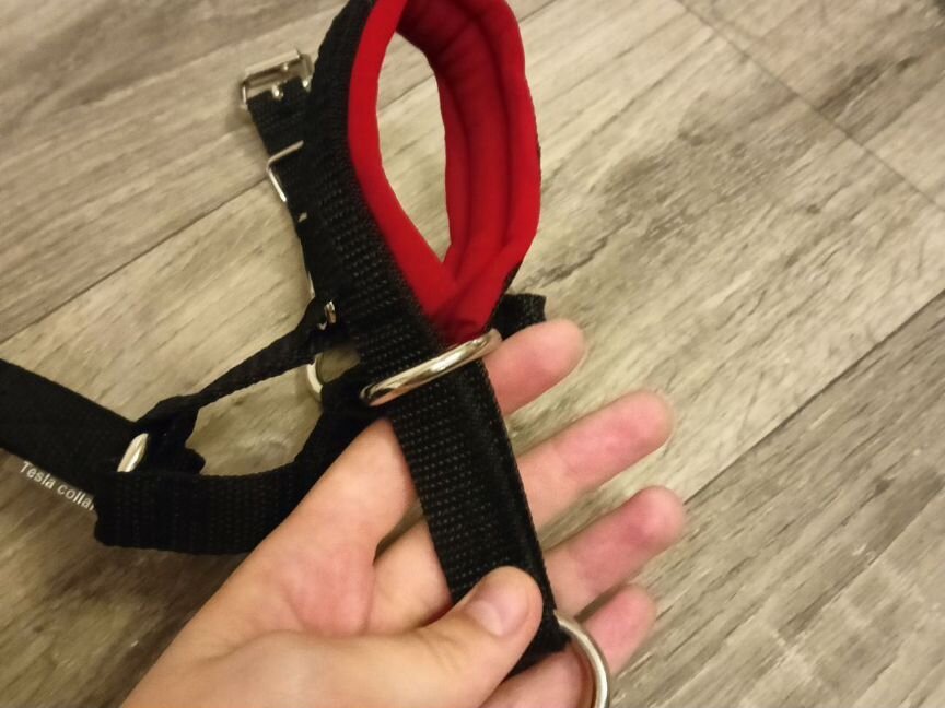 Халти для собак