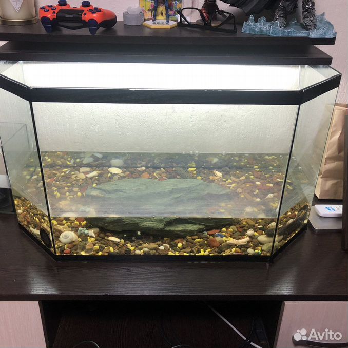 Аквариум 60 л + 2 Тритона