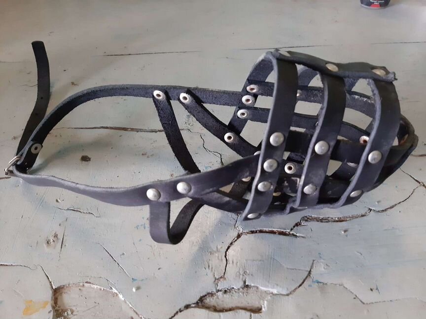 Намордник для собаки