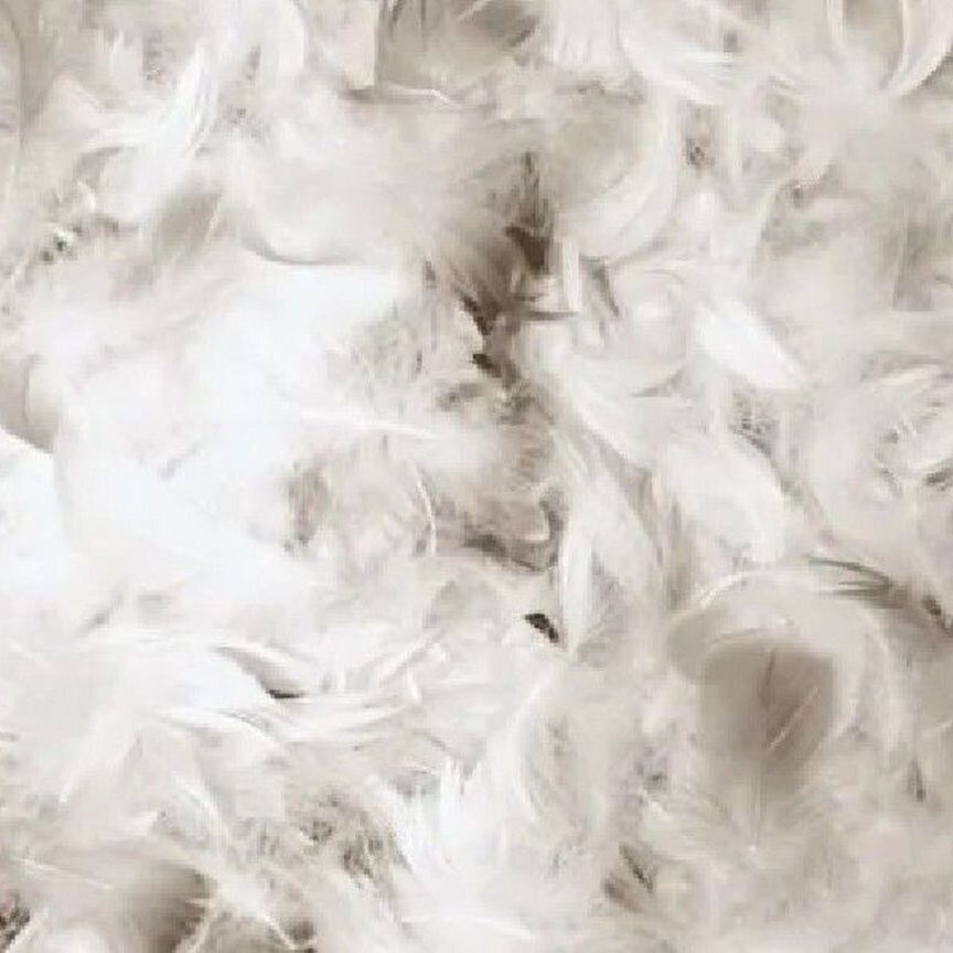 Бу пух гусиный