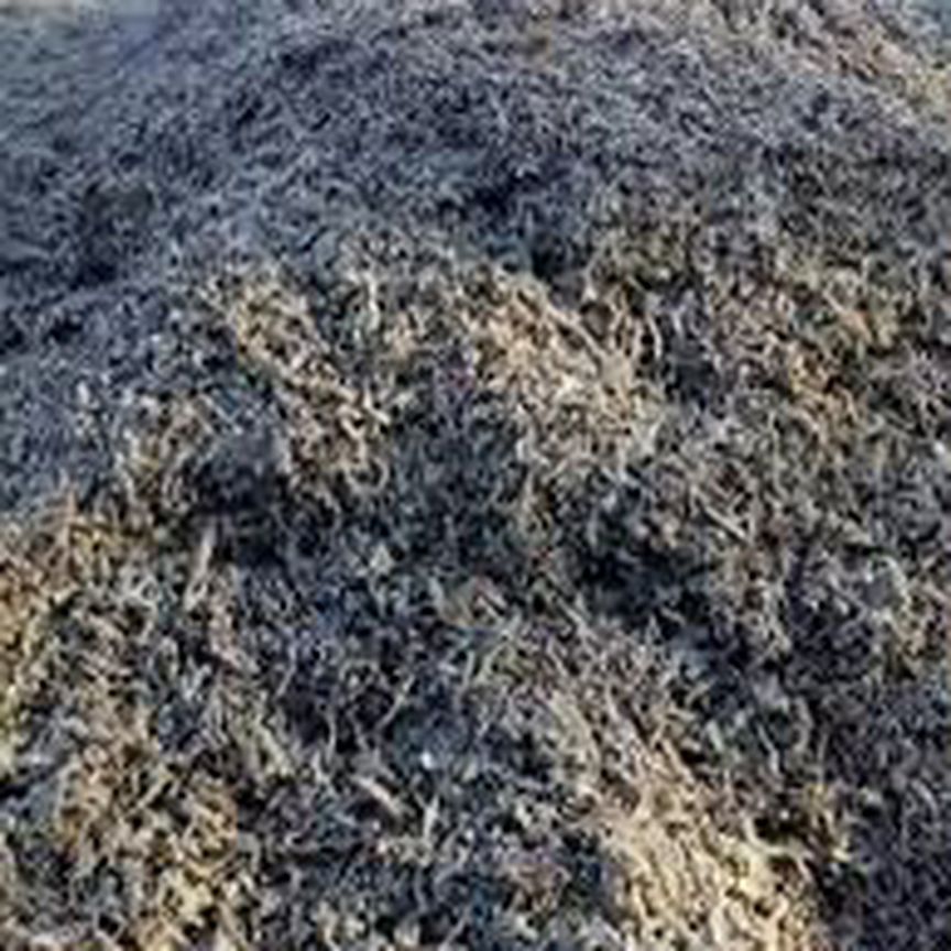 Жом свекловичный