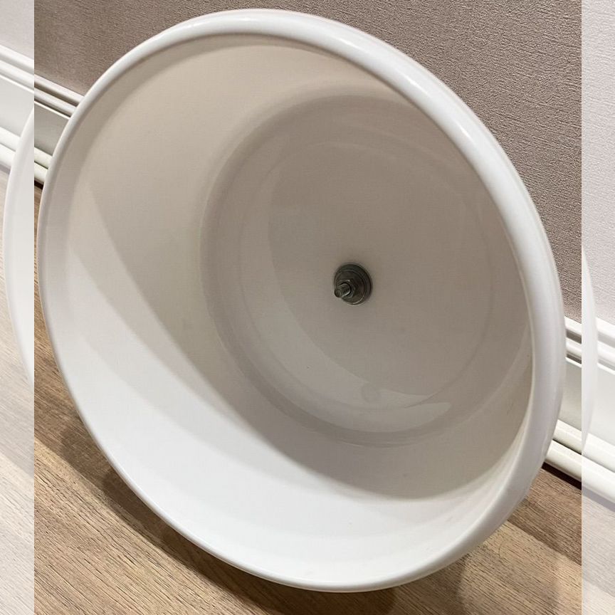 Колесо беговое для африканского ежа, хомяка б/у