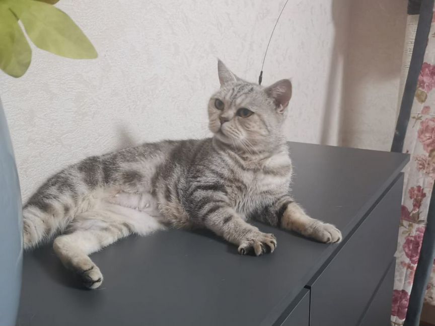 Таша ищет любящую семью