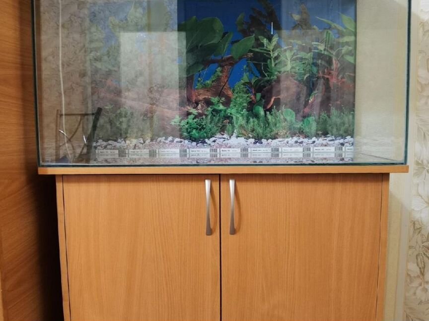 Аквариум с тумбой и освещением