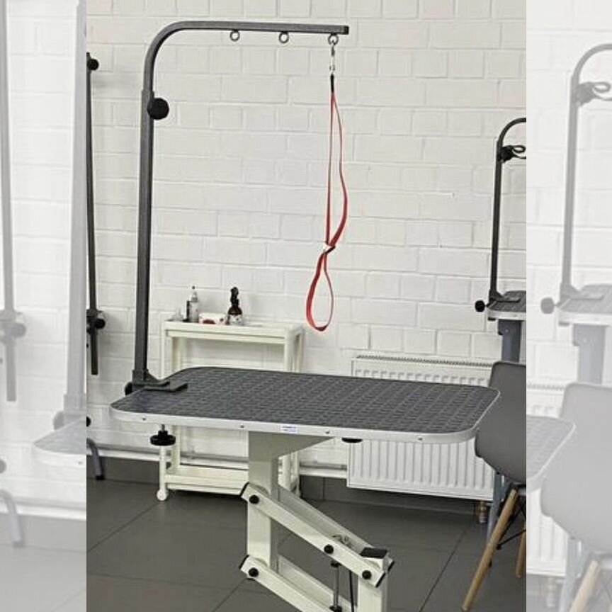 Стол до груминга на подьемнике