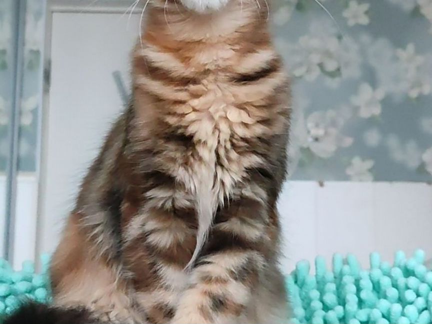 Забава на счастье